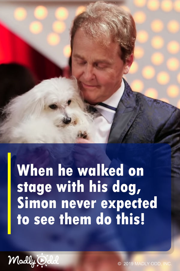 When he walked on stage with his dog, Simon never expected to see them ...