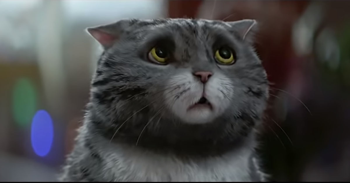 Adorable Clumsy Cat Nearly Ruins Christmas, But Wait for The Twist