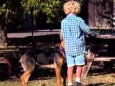 Security Camera Captures Dog Violently Attacking Little Boy And Rescue ...
