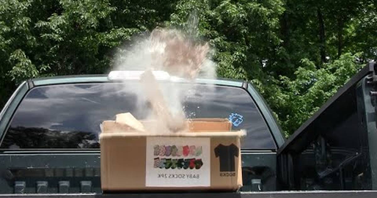 A Neighborhood Package Thief Gets A Special Delivery From This ...