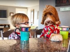 Brother Covered His Sister To Protect Her From Strangers. Watch What ...