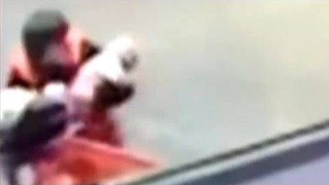 Baby Falling Off A Cart. Goes Crashing To Floor! My Heart Was In My ...