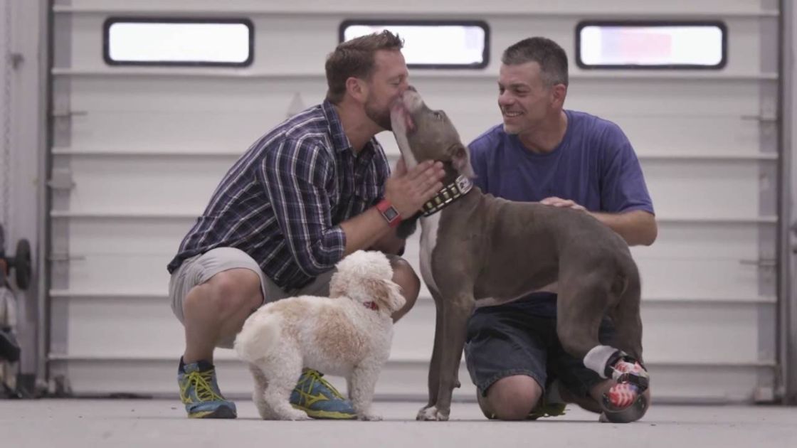 Dog Loses His Foot Due To Unspeakable Cruelty. What This Man Does For ...