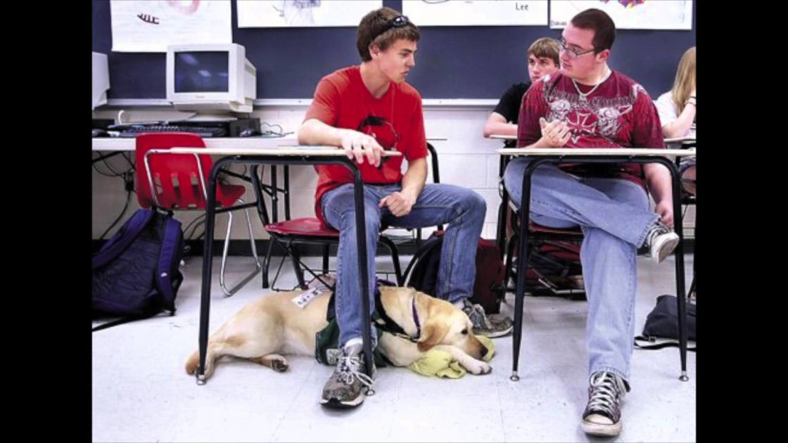 He Was Being Cruelly Bullied At School Until He Met This Dog