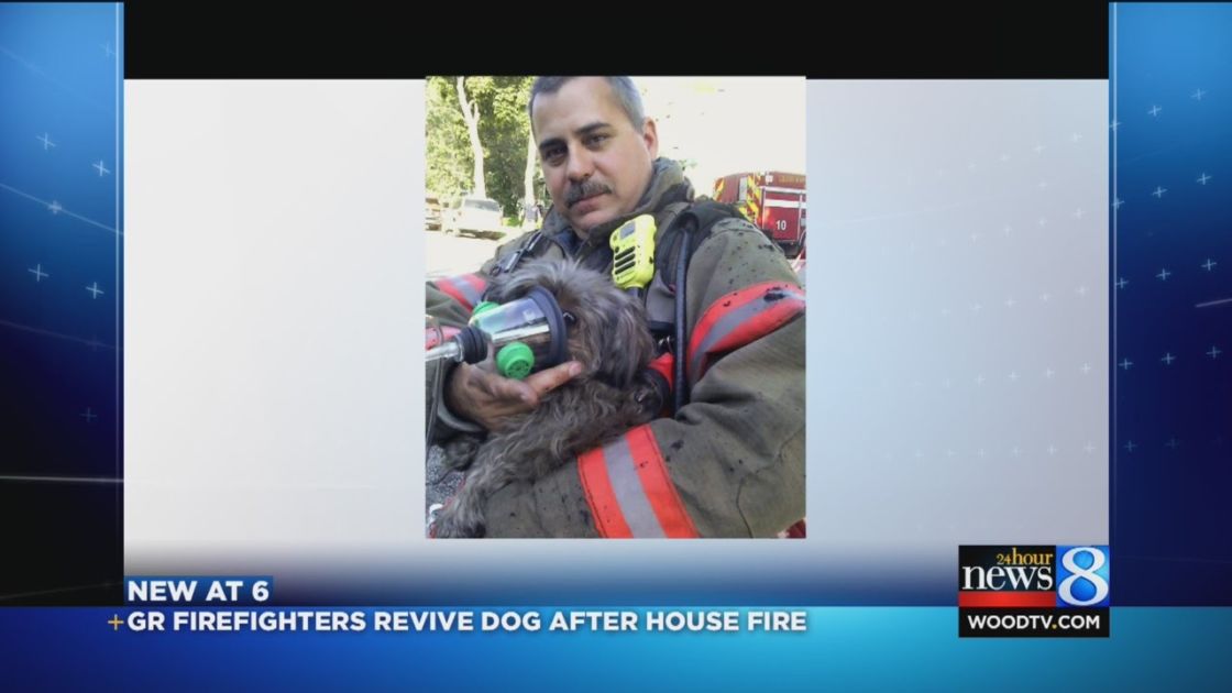 Hero Fire Fighter Saves Helpless Dog In House Fire! – Madly Odd!