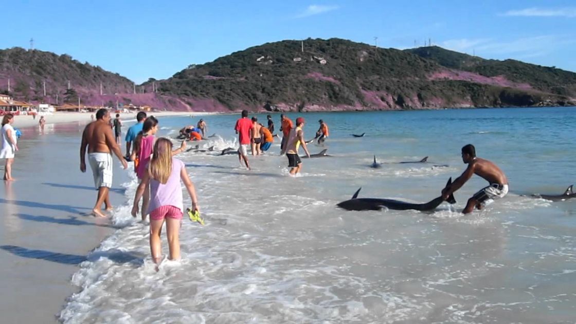 It Was A Normal Day On A Beach – Until Something TOTALLY Unbelievable ...