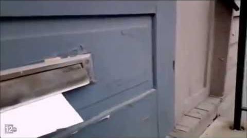 Poor Mailman Tries To Deliver Mail To This House, But Keep A Close Eye ...
