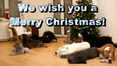 Some Dogs Chew Decorations. Some Like To Knock Down Trees. But These ...