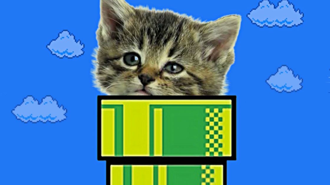 Surprising Video Game Facts That Will Make Every Cat Lover Smile! LOL ...