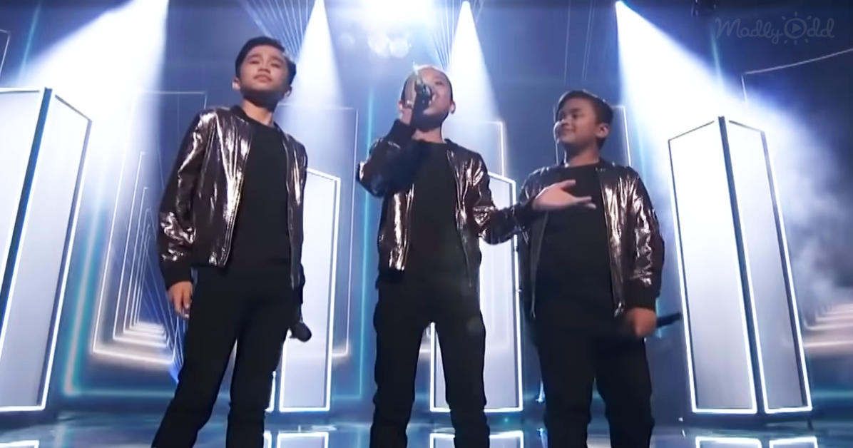 The ‘TNT Boys’ May Be Cute, But Don’t Be Fooled: They Pack A Serious ...