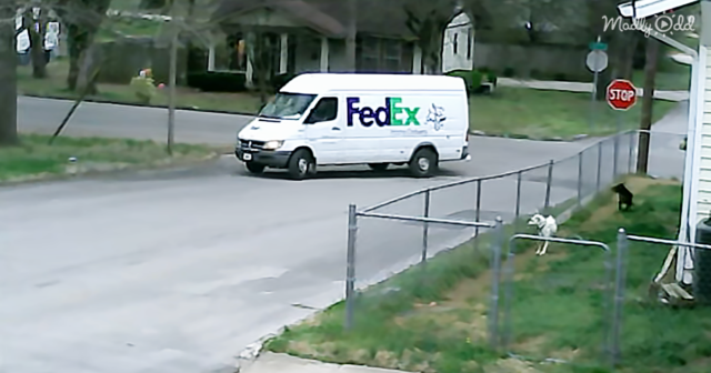 Security Camera Caught This FedEx Truck on The Run. I REALLY Didn’t ...
