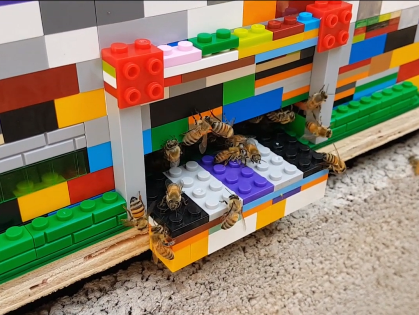 Un-BEE-Lievable: This Colorful LEGO Beehive Is Home To 10,000 Happy ...