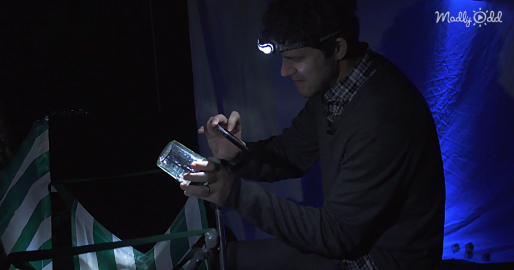 Nature Geeks: Discover The Exciting Nocturnal World of Bug Light Trapping