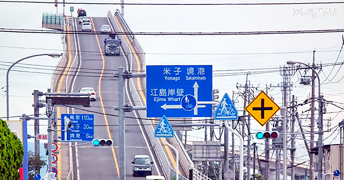 This Bridge Is So Terrifying It Gives Drivers Anxiety Attacks