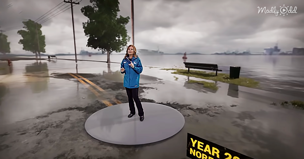 The Weather Channel Made This Forecast For Amerca: If This Doesn’t ...