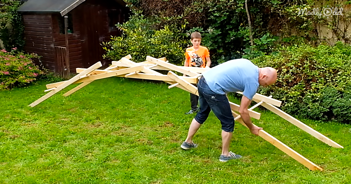 Boy Recreates Leonardo DaVinci’s Self-Supporting Bridge In His Backyard ...