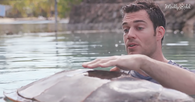 I Didn’t Know a Grown Man Talking to a Sea Turtle with a Silly Voice ...