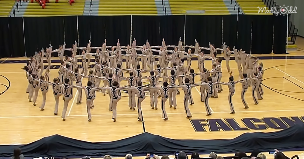 Dance Team Drops Jaw-Dropping Routine Making The Audience Roar With ...