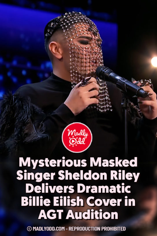 PIN-Mysterious Masked Singer Sheldon Riley Delivers Dramatic Billie ...