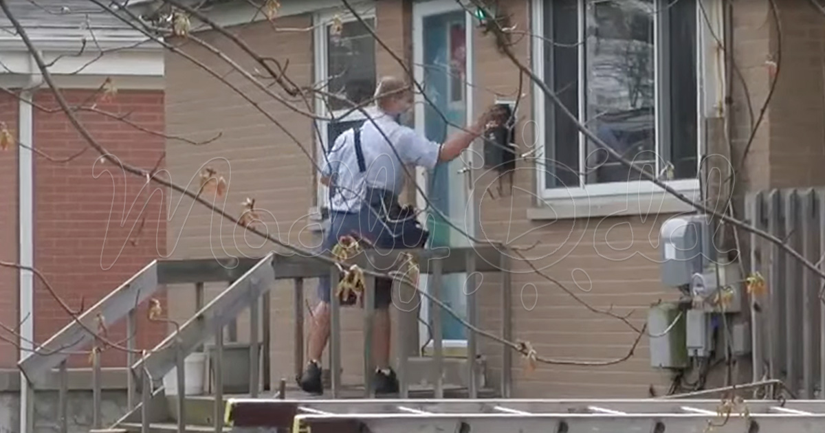 Young Mailman Hailed A Hero For Delivering More Than Just Mail On His ...