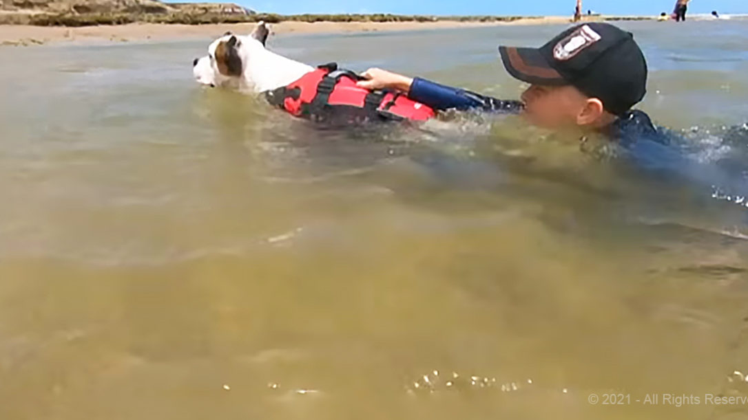 Make These 3 Ingredient Cookies In Just 3 Minutes – Madly Odd!