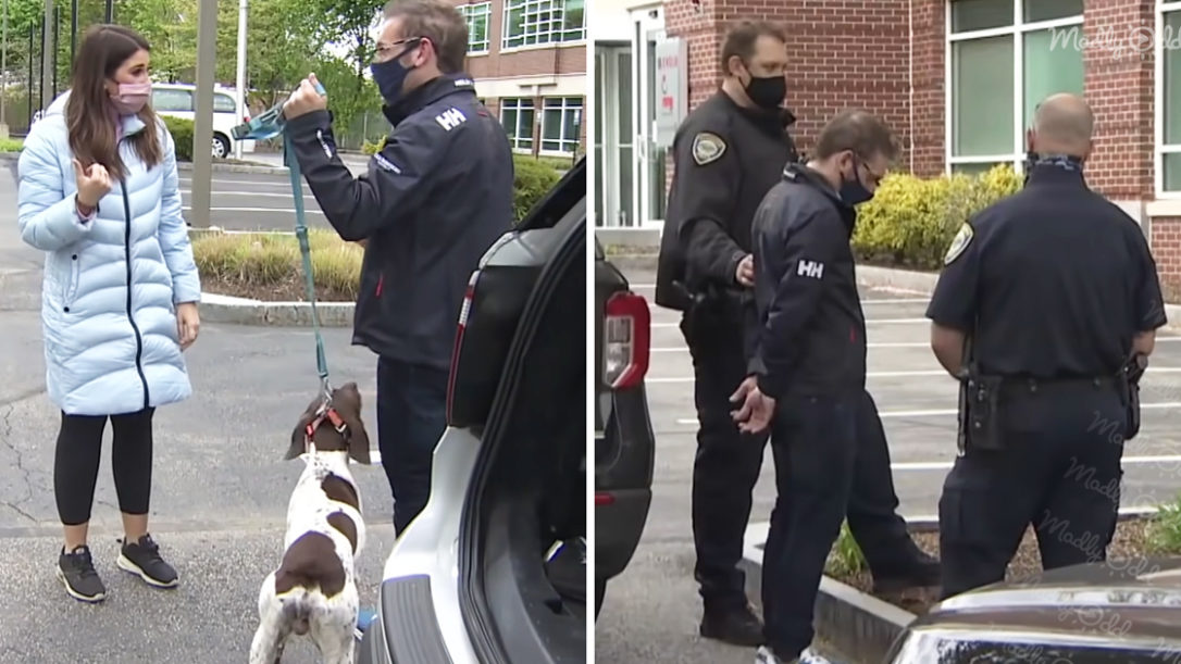 Video captures two dogs with hilariously different temperaments – Madly ...