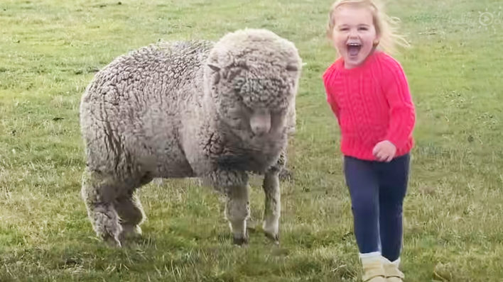 Madly Odd! ⋆ Happy! Funny! Amazing! Daily!