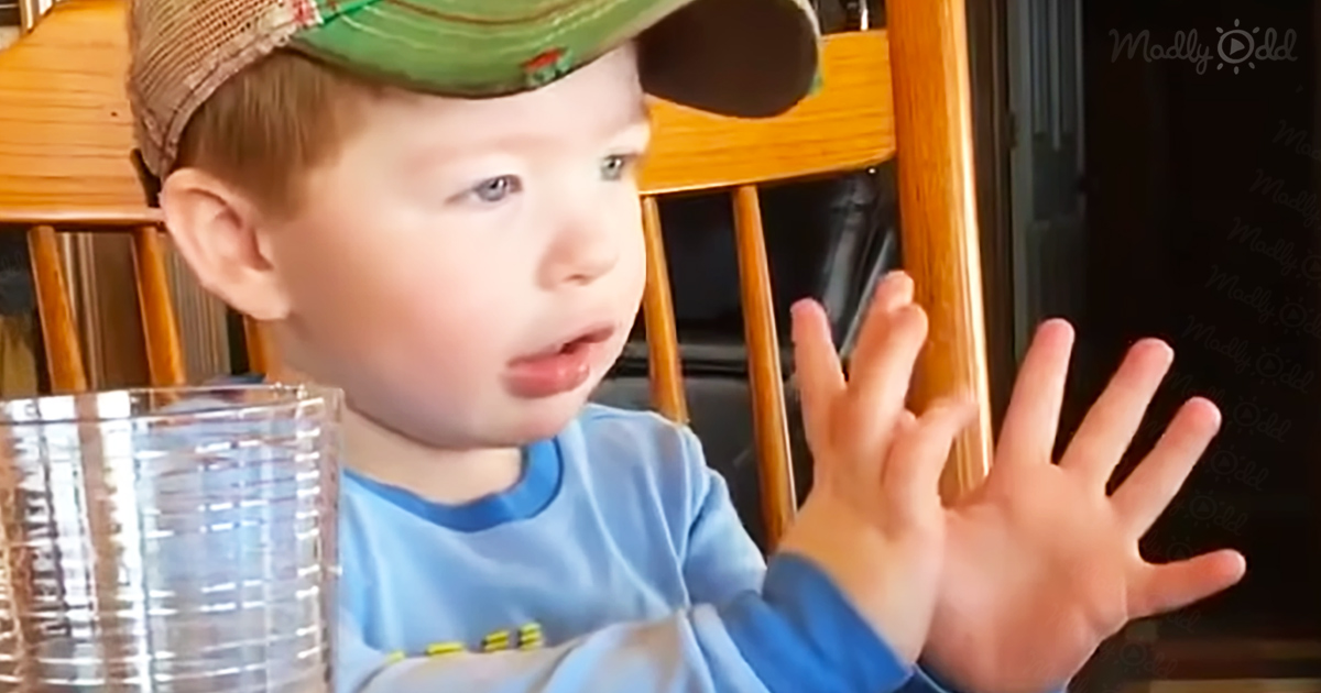 Hilarious toddler shows how to give directions in the country – Madly Odd!