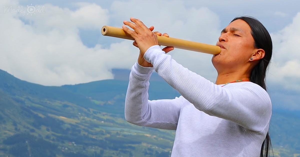 Native American flute rendition of ‘The Sound of Silence’ is what we ...