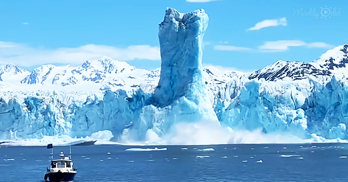 Titanic ice pillar rises 200 ft into the air after huge glacier breaks ...