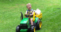 But OF COURSE pugs love John Deere Tractors