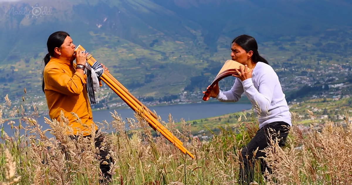Native American flute rendition of ‘The Sound of Silence’ is what we ...