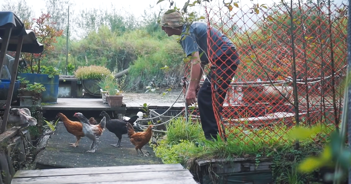 For 17 years, this man has been living off-grid on an island he built ...