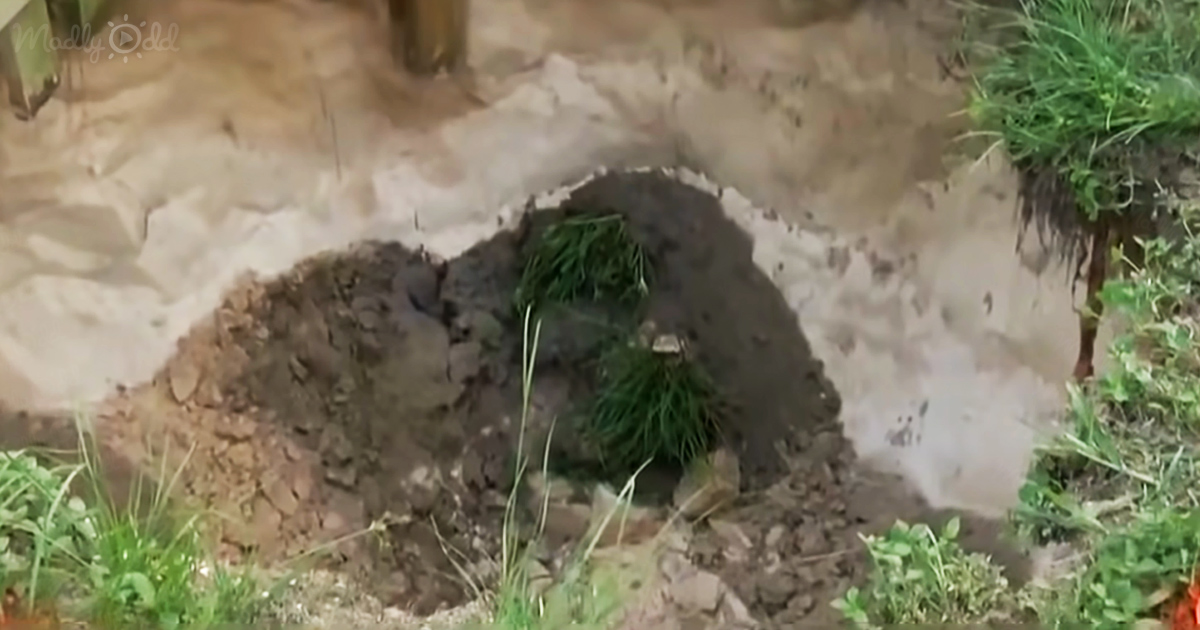 Giant hole suddenly appears and swallows man's back yard