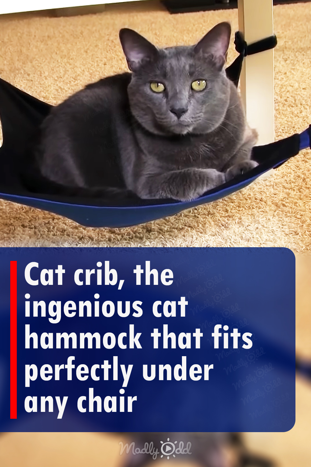 Cat crib, the ingenious cat hammock that fits perfectly under any chair