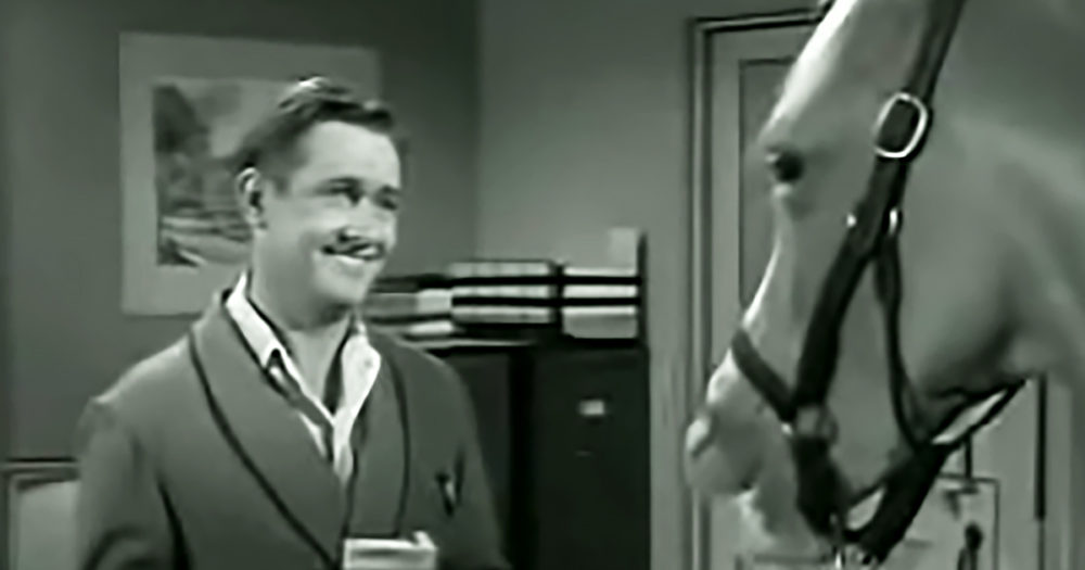 Mr Ed’s argument about inheritance creates tears of laughter 50+ years ...