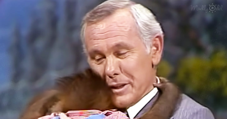 Hearts melt when Johnny Carson gets a hug from a baby orangutan – Madly ...