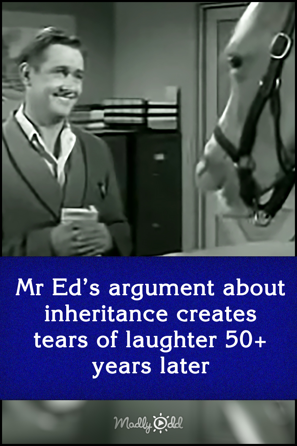 Mr Ed’s argument about inheritance creates tears of laughter 50+ years ...