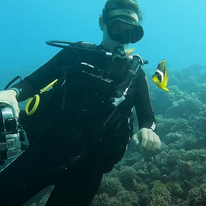 Fish loves to greet his favorite diver and bring her treasures – Madly Odd!