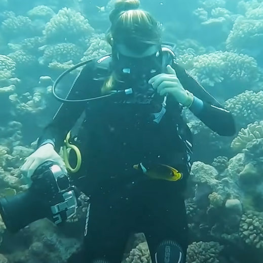 Fish loves to greet his favorite diver and bring her treasures