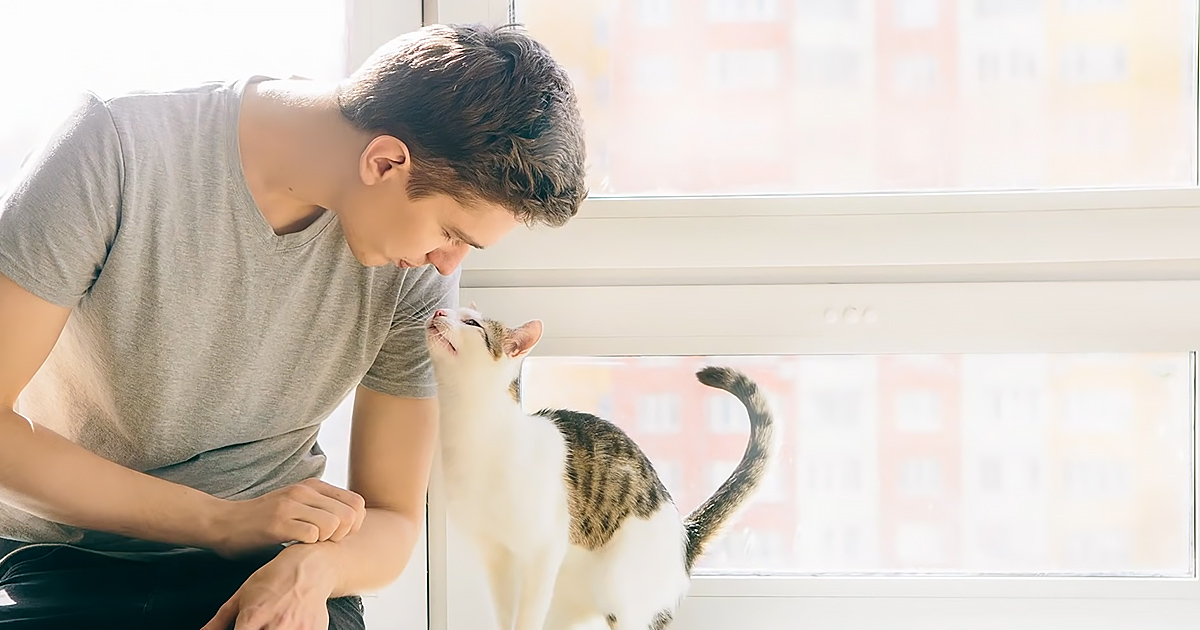 7 ways cats express love to you, according to a vet