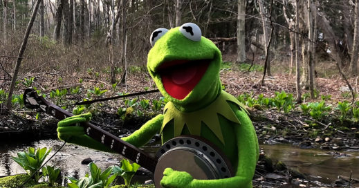 Kermit the Frog sings ‘Rainbow Connection,’ brings back heartwarming ...