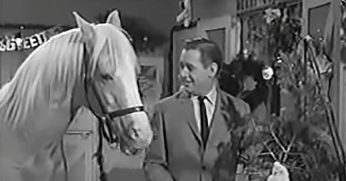 ‘Mister Ed’ tells a Christmas story – Madly Odd!