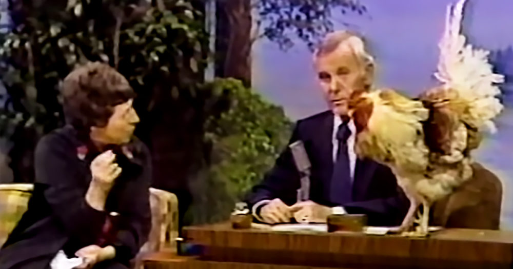 Johnny Carson has hilarious interactions with birds on ‘The Tonight ...