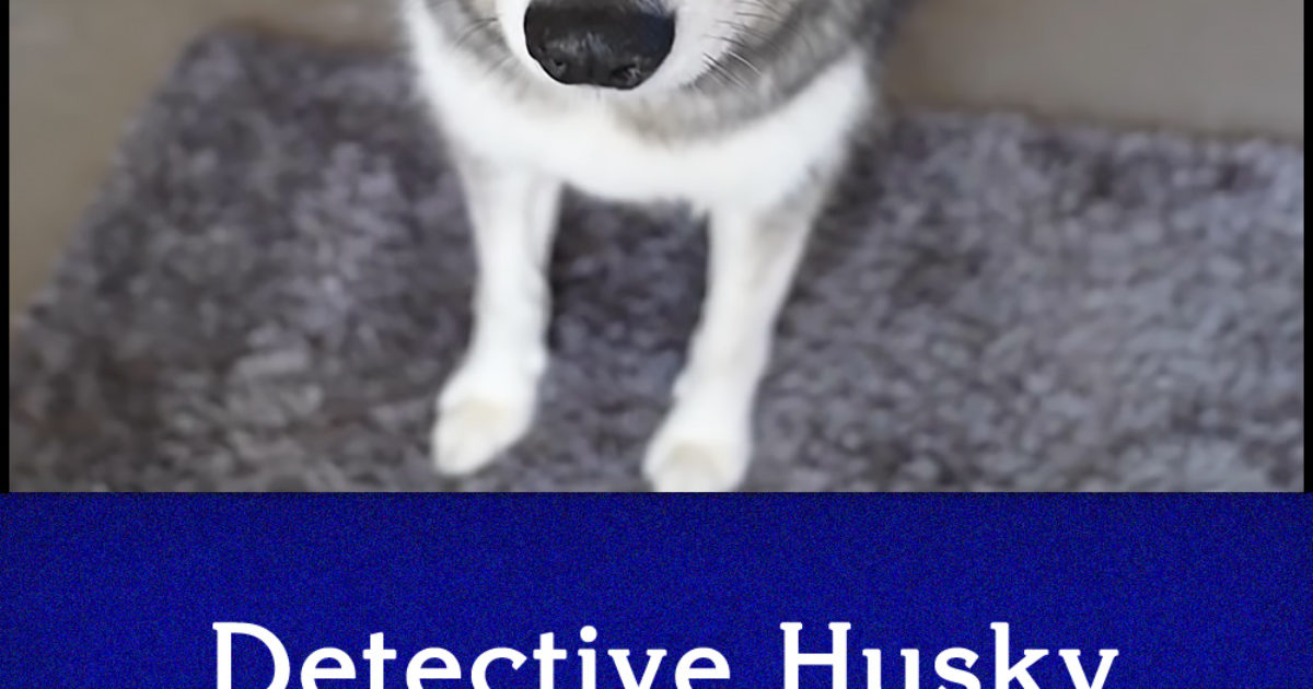 Detective Husky determined to crack the case.