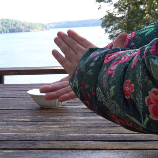 Blue Jay responds to woman’s clapping, becomes regular visitor – Madly Odd!