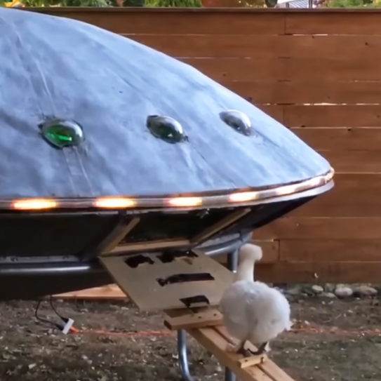 Couple go above and beyond to build UFO chicken coop