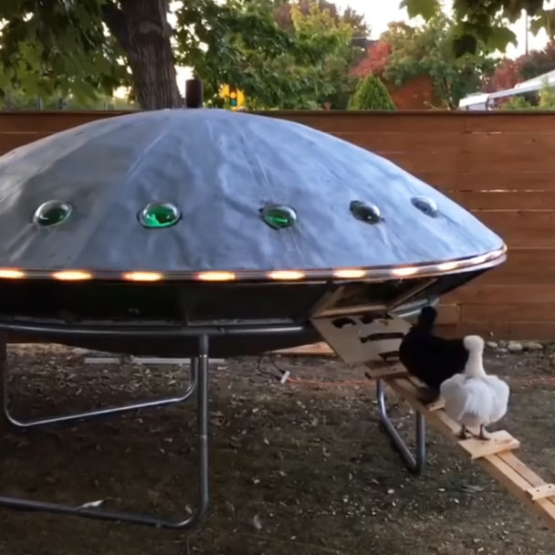 Couple go above and beyond to build UFO chicken coop – Madly Odd!