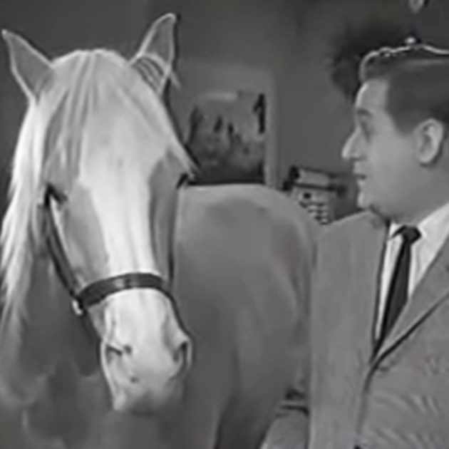 Mr. Ed tries to tell Wilbur about how a horse saved Christmas