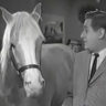 Mr. Ed tries to tell Wilbur about how a horse saved Christmas